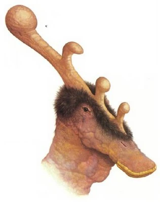 The new dinosaurs: An alternative evolution | Wild Future Wiki | Fandom