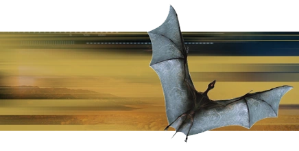 Deathgleaner | Wild Future Wiki | Fandom