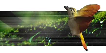 Spitfire Bird | Wild Future Wiki | Fandom