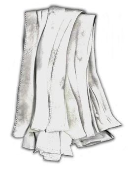 Rags | Wild Island Wiki | Fandom