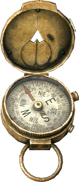 Compass | Wild Island Wiki | Fandom