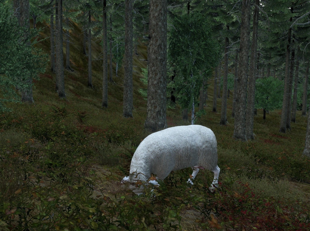 Sheep | Wild Island Wiki | Fandom