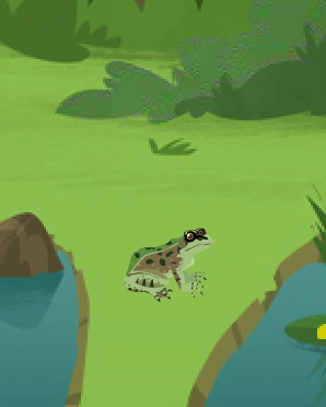 Northern Leopard Frog | Wild Kratts Wiki | Fandom