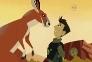 Roo Boss | Wild Kratts Wiki | Fandom