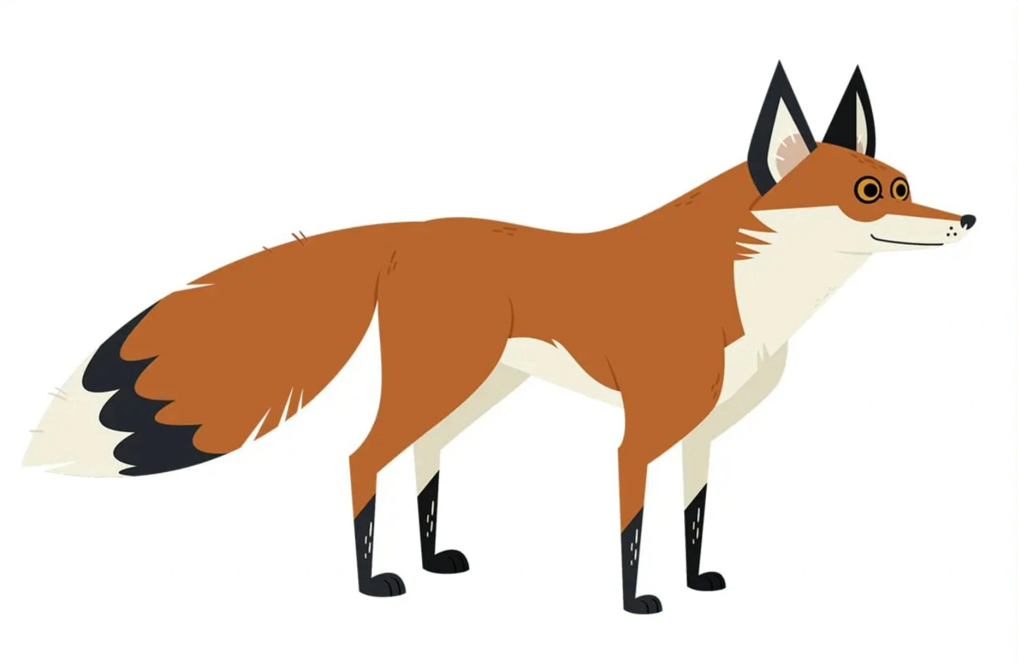Cartoon Red Fox