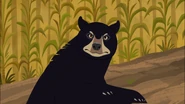 Happy Turkey Day | Wild Kratts Wiki | Fandom