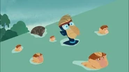 Proboscis Monkey Power | Wild Kratts Wiki | Fandom