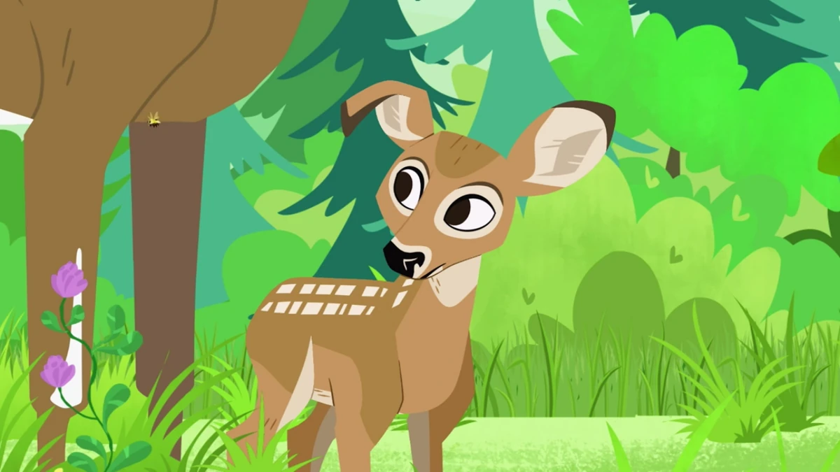Buckaroo | Wild Kratts Wiki | Fandom