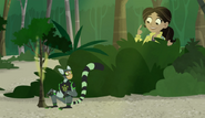 Lemur Stink Fight | Wild Kratts Wiki | Fandom