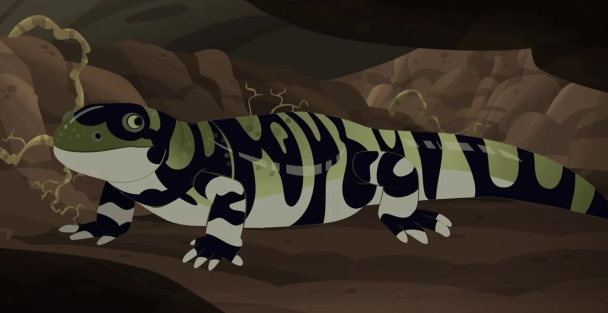 Tiger Salamander | Wild Kratts Wiki | Fandom