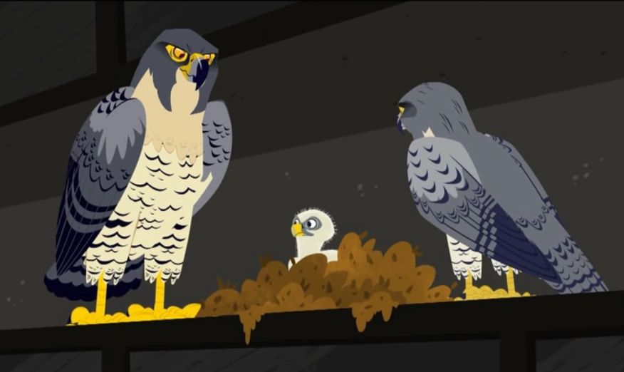 Fluff | Wild Kratts Wiki | Fandom