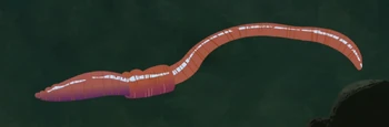 Earthworm | Wild Kratts Wiki | Fandom