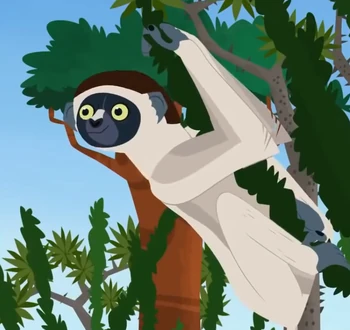 Verreaux's Sifaka | Wild Kratts Wiki | Fandom