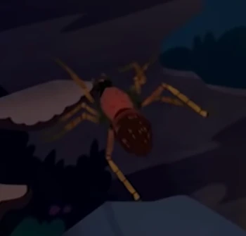 European House Spider | Wild Kratts Wiki | Fandom