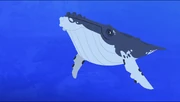 Mini Heroes and Mighty Mouths | Wild Kratts Wiki | Fandom