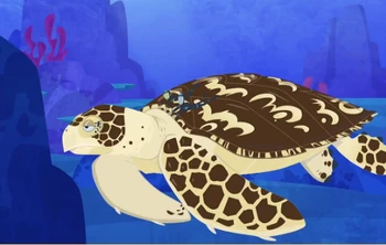 Tortuga Tune Up | Wild Kratts Wiki | Fandom