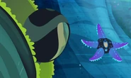 Starfish Power | Wild Kratts Wiki | Fandom