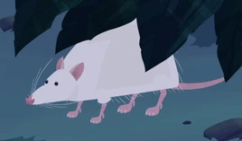 Moonrat | Wild Kratts Wiki | Fandom