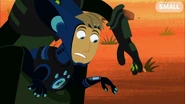 Kickin' It With the Roos/Gallery | Wild Kratts Wiki | Fandom
