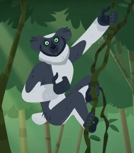 Indri | Wild Kratts Wiki | Fandom