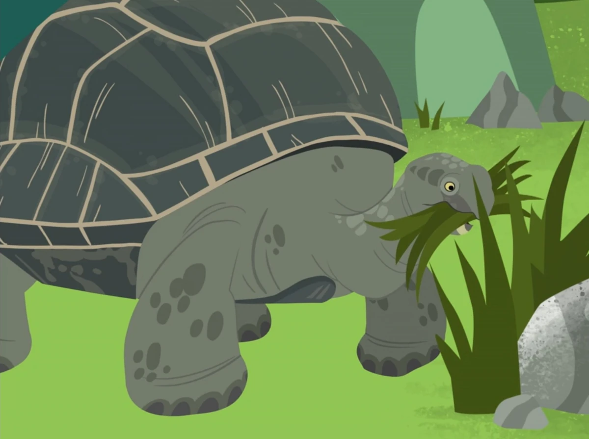 Grandpa | Wild Kratts Wiki | Fandom