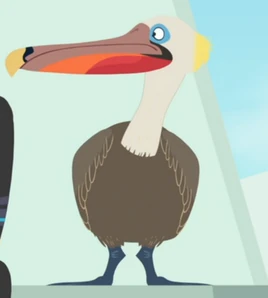 Brown Pelican | Wild Kratts Wiki | Fandom