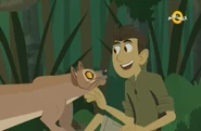 Fossa-Palooza | Wild Kratts Wiki | Fandom