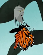 Maxilla | Wild Kratts Wiki | Fandom