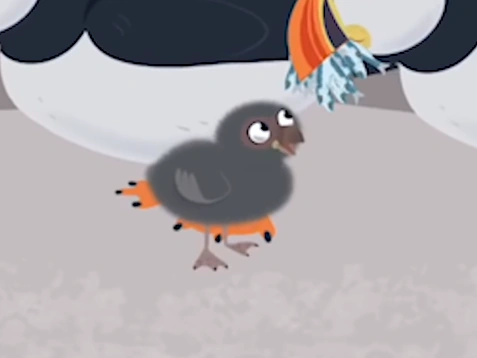 Finnster | Wild Kratts Wiki | Fandom