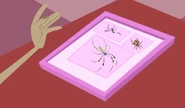 Secrets of the Spider's Web | Wild Kratts Wiki | Fandom