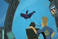 Sperm Whale Vs Giant Squid Wild Kratts