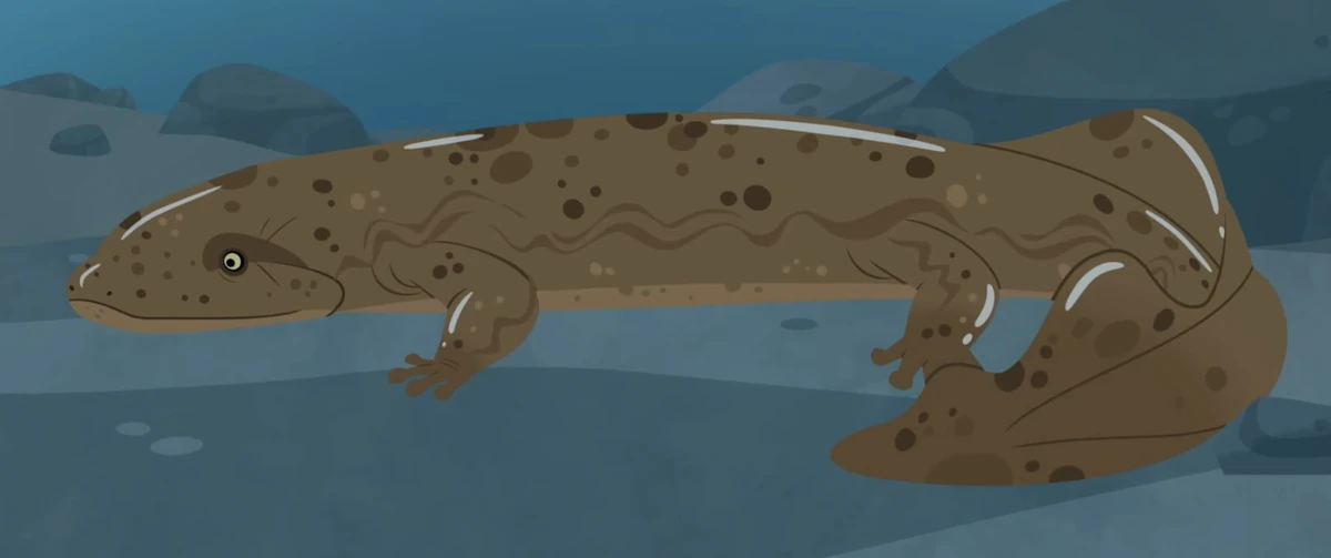 Hellbender | Wild Kratts Wiki | Fandom