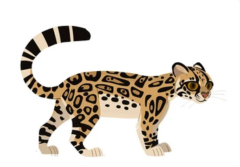 Margay | Wild Kratts Wiki | Fandom