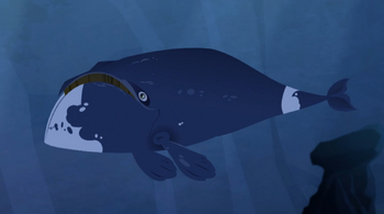 Bowhead Whale | Wild Kratts Wiki | Fandom