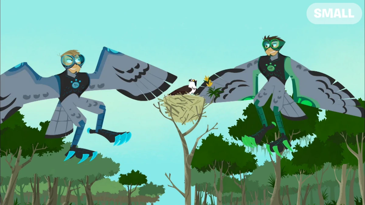 Osprey Power/Gallery | Wild Kratts Wiki | Fandom