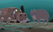 Hipster | Wild Kratts Wiki | Fandom