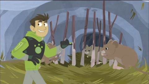 Journey to the Subnivean Zone | Wild Kratts Wiki | Fandom