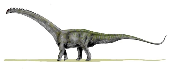 Futalognkosaurus-the forgotten titanosaur: Jurassic kratts | Wild ...