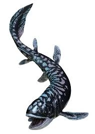 Rhizodus rescue-jurassic kratts sea adventures | Wild Kratts Fanon Wiki ...