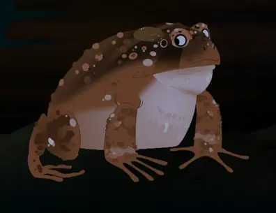 American toad powers-wild kratts | Wild Kratts Fanon Wiki | Fandom