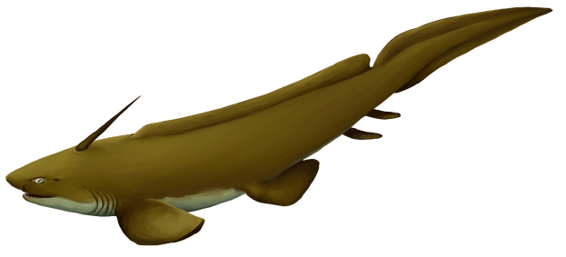 Jurassic Kratts-The Xenacanthus file | Wild Kratts Fanon Wiki | Fandom