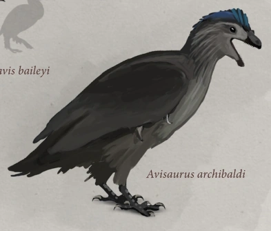 Avisaurus rescue-jurassic kratts | Wild Kratts Fanon Wiki | Fandom