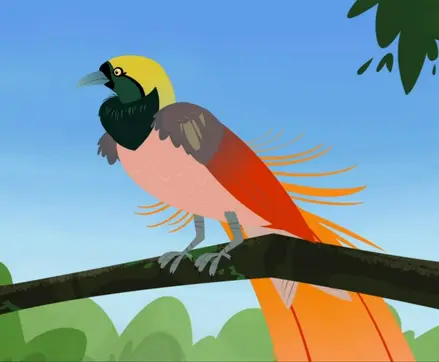 Wild Kratts-birds of paradise mission | Wild Kratts Fanon Wiki | Fandom
