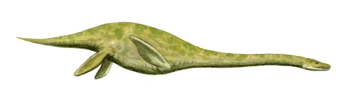 Jurassic kratts-pliosaurs and plesiosaurs | Wild Kratts Fanon Wiki | Fandom