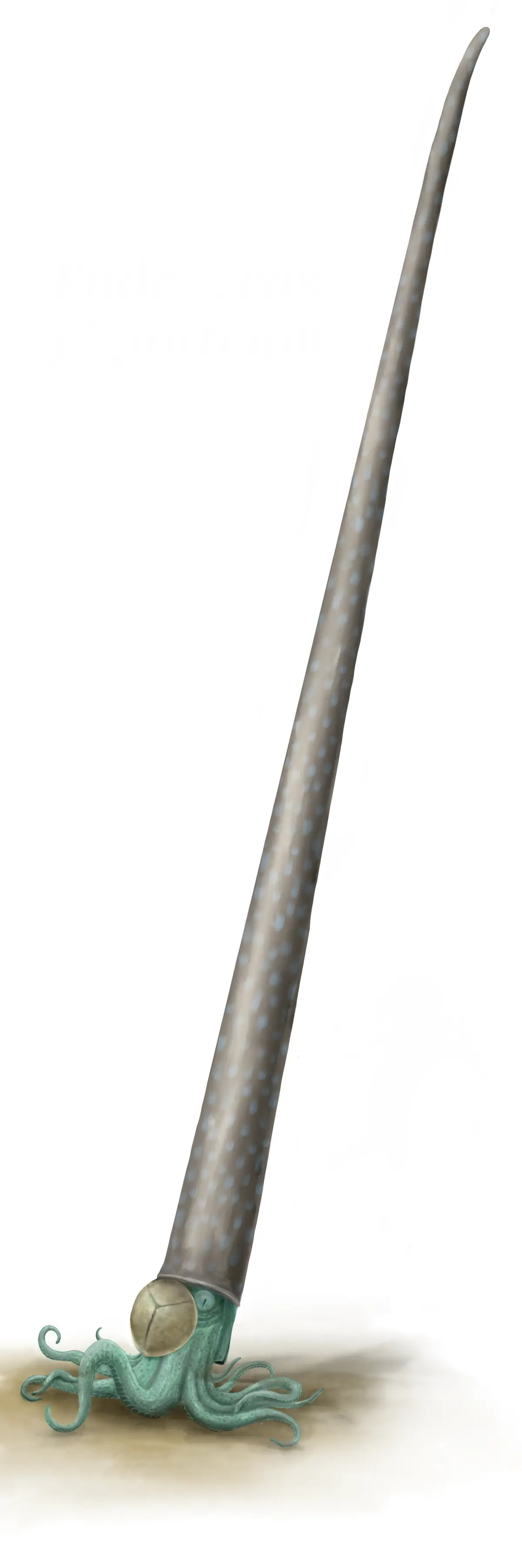 Nautiloid rescue-Jurassic kratts | Wild Kratts Fanon Wiki | Fandom