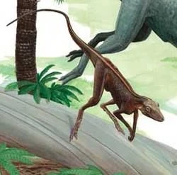 Dromomeron delivery-Jurassic Kratts sneak peek | Wild Kratts Fanon Wiki ...