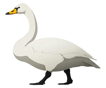 Cygnus falconeri rescue-jurassic kratts | Wild Kratts Fanon Wiki | Fandom