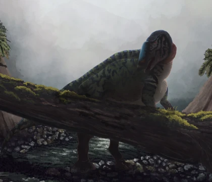 Patagopelta rescue-Jurassic Kratts | Wild Kratts Fanon Wiki | Fandom