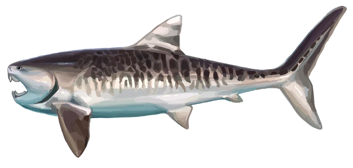 Placoderm power jaws-Jurassic Kratts | Wild Kratts Fanon Wiki | Fandom