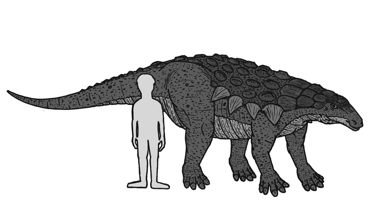 Edmontonia Or bust-Wild Kratts prehistoric | Wild Kratts Fanon Wiki ...